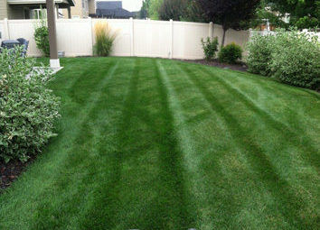 Check Out Our Work | All Pro Lawn Service