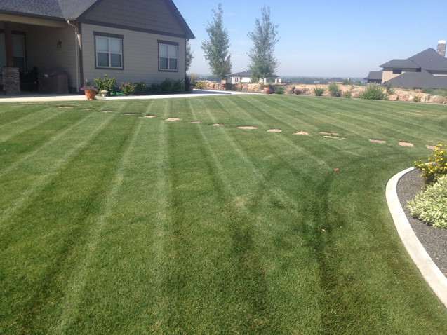 Check Out Our Work | All Pro Lawn Service
