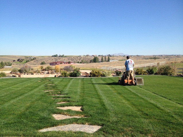 Check Out Our Work | All Pro Lawn Service