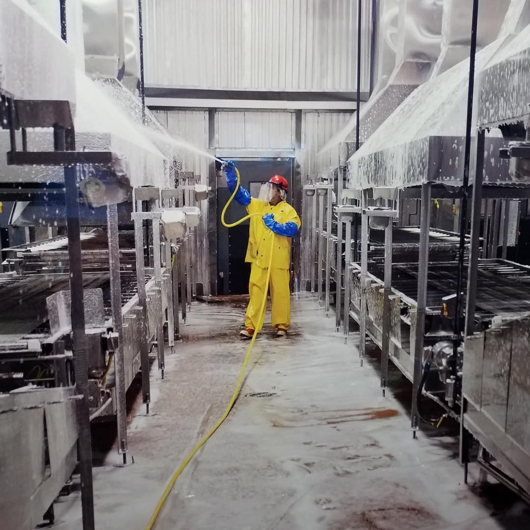 Food Safety & Quality Assurance