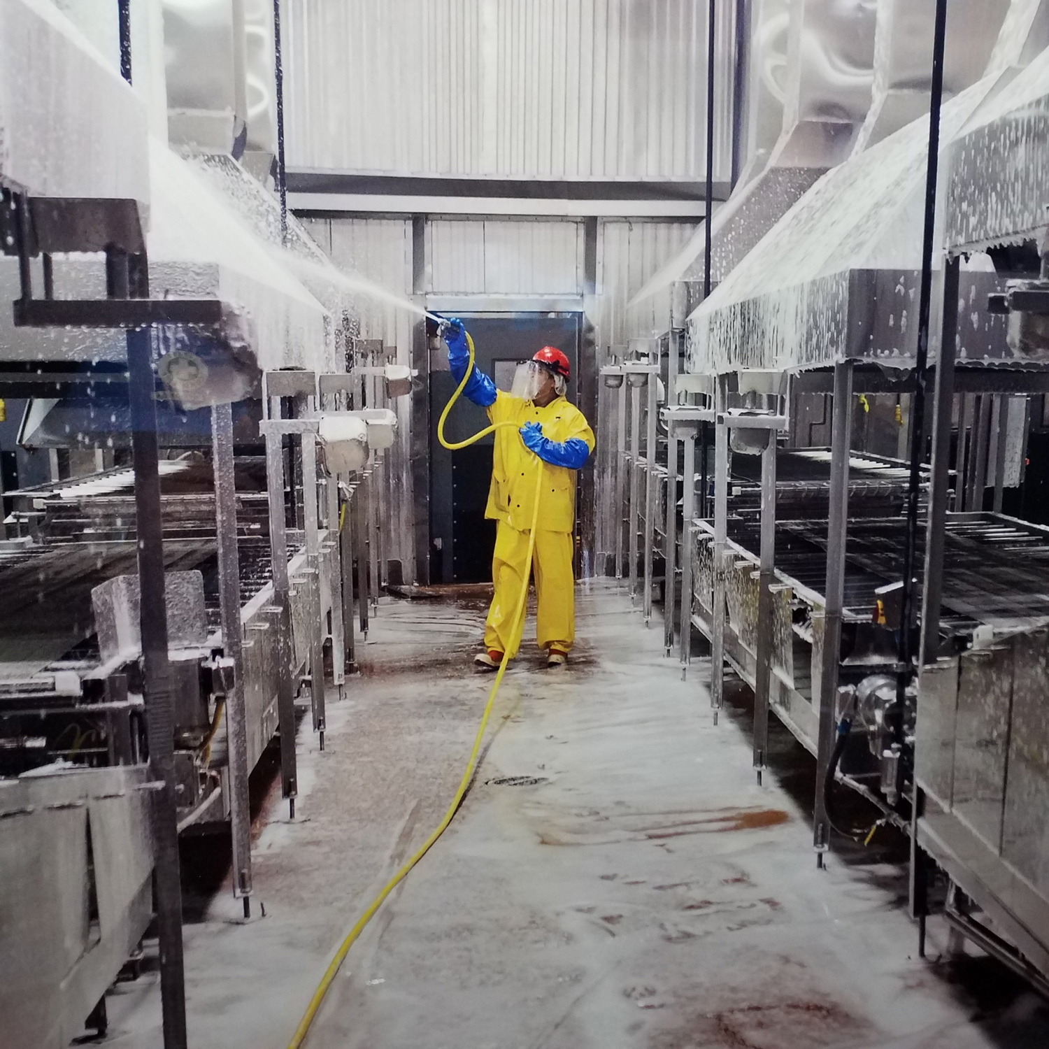 Food Safety & Quality Assurance