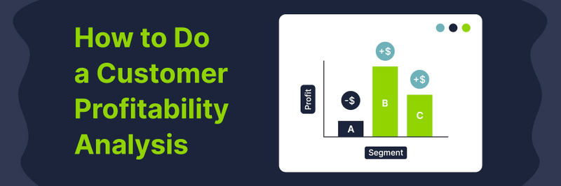 What is Customer Profitability Analysis? | Complete Guide | Daasity