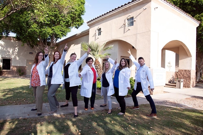 Top Rated Veterinary Specialists in Gilbert, AZ I Desert Veterinary ...