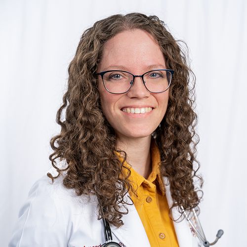 Top Rated Veterinary Specialists in Gilbert, AZ I Desert Veterinary ...