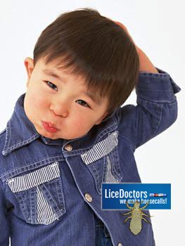 “No Nit” Head Lice Policies Dropping Like Flies | LiceDoctors