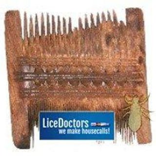 Where Does Lice Come From? | LiceDoctors