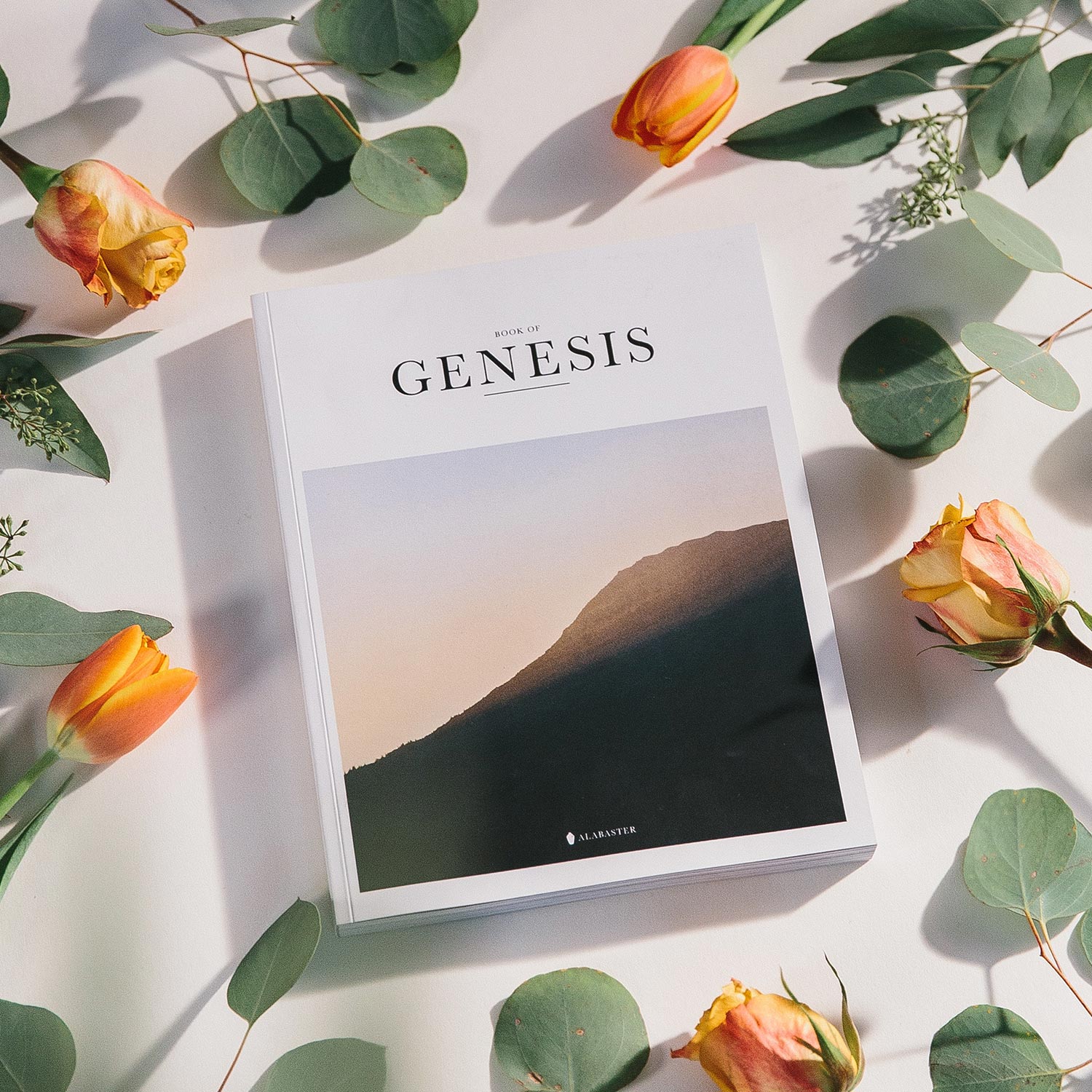 Genesis Magazine