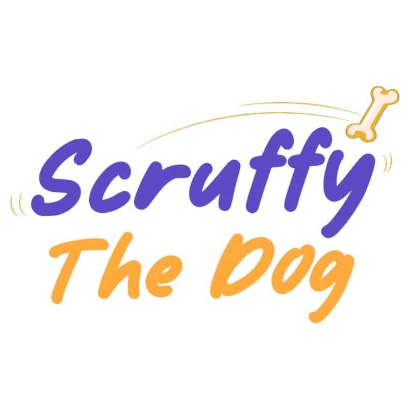 Games to Teach Dogs Emotional Self-Control