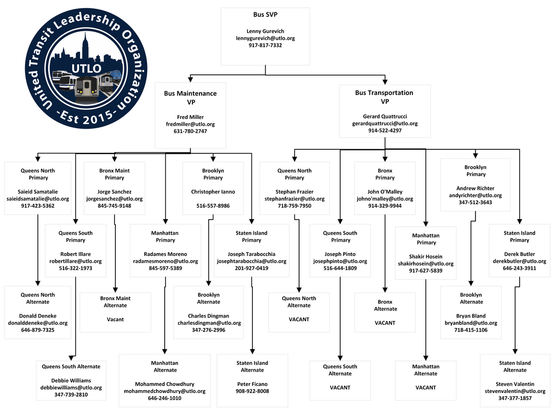 DOB Division Representatives