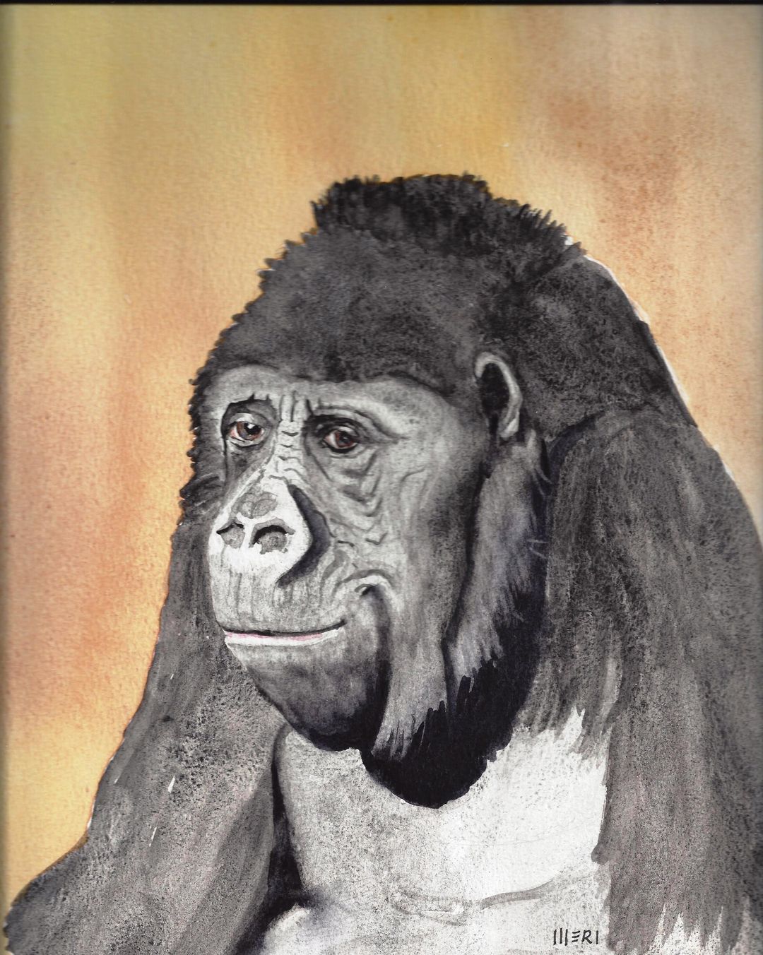 Gallery - 2D Art