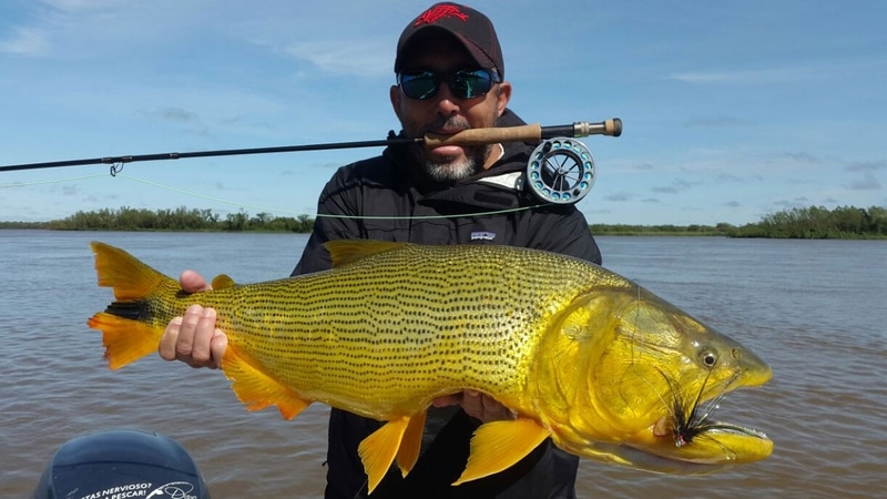 Pesca de Dorado en el Paraná Rio Bravo Lodge