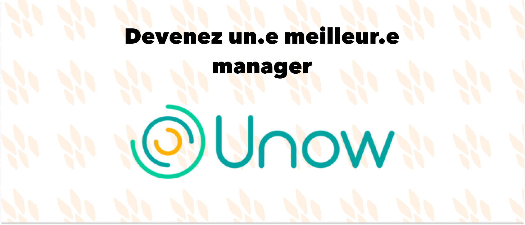 Formation Développer son leadership par Unow