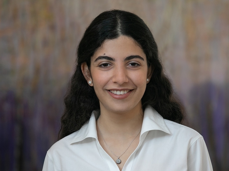 LISEP Ludwig Institute for Shared Economic Prosperity