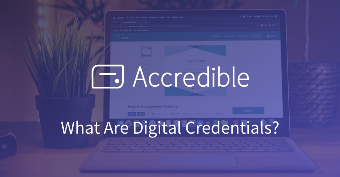 What Are Digital Credentials?