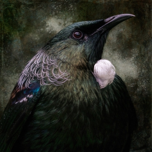 Judi Lapsley Miller | Artist | Inspirit Gallery