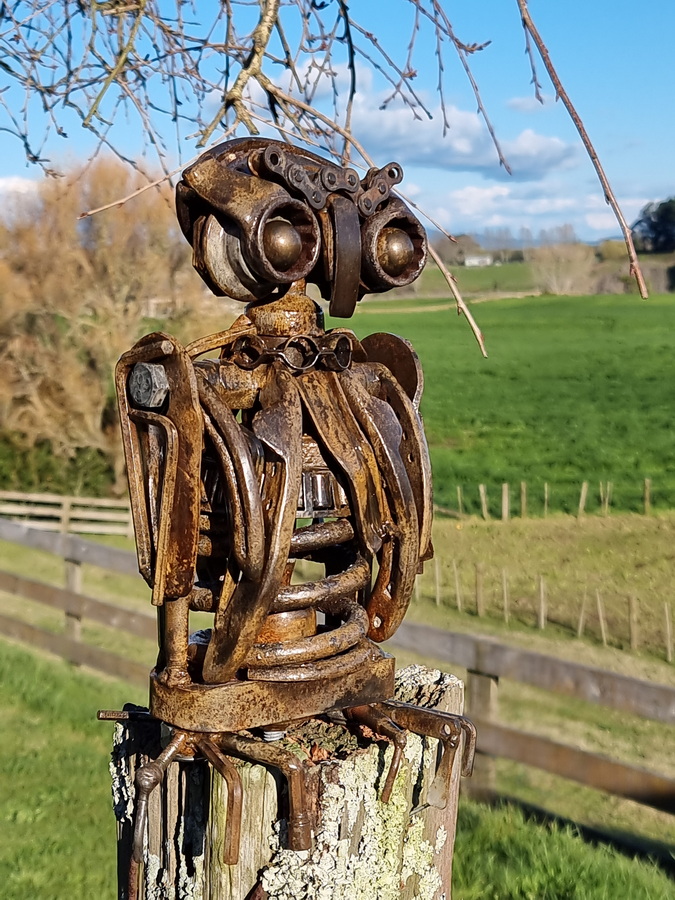 Haast Eagle | Artwork by Nathan Hull