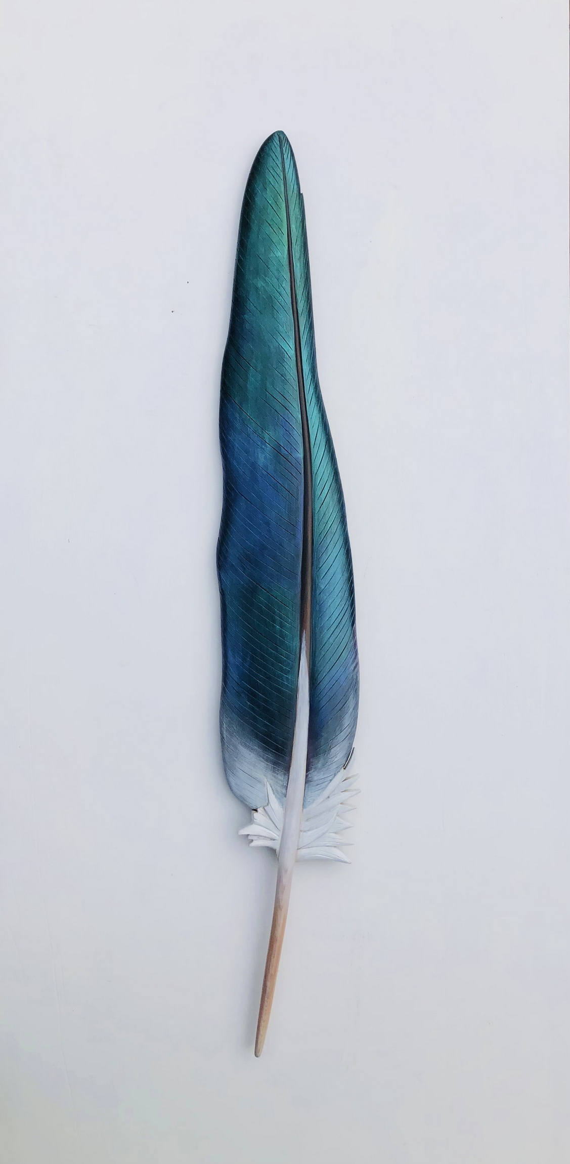 Large Rimu Kereru Feather 80cm | Artwork by Claire Jensen