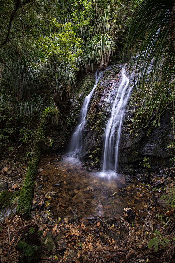Kaimai Falls | Artwork by Ian Preece