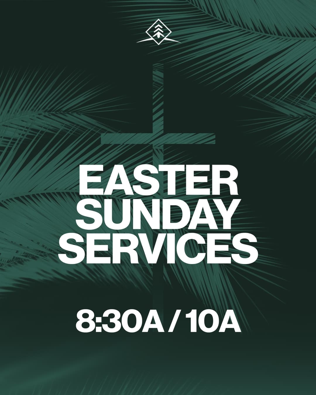 Passion. Purpose. Perseverance.