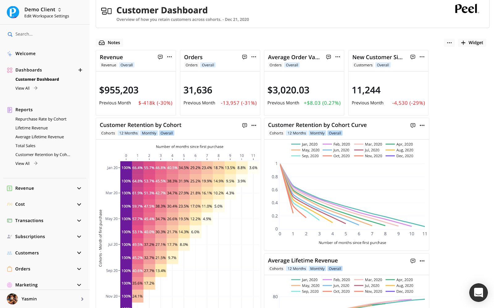 Shopify Dashboards: Automated Sales & Analytics | Peel