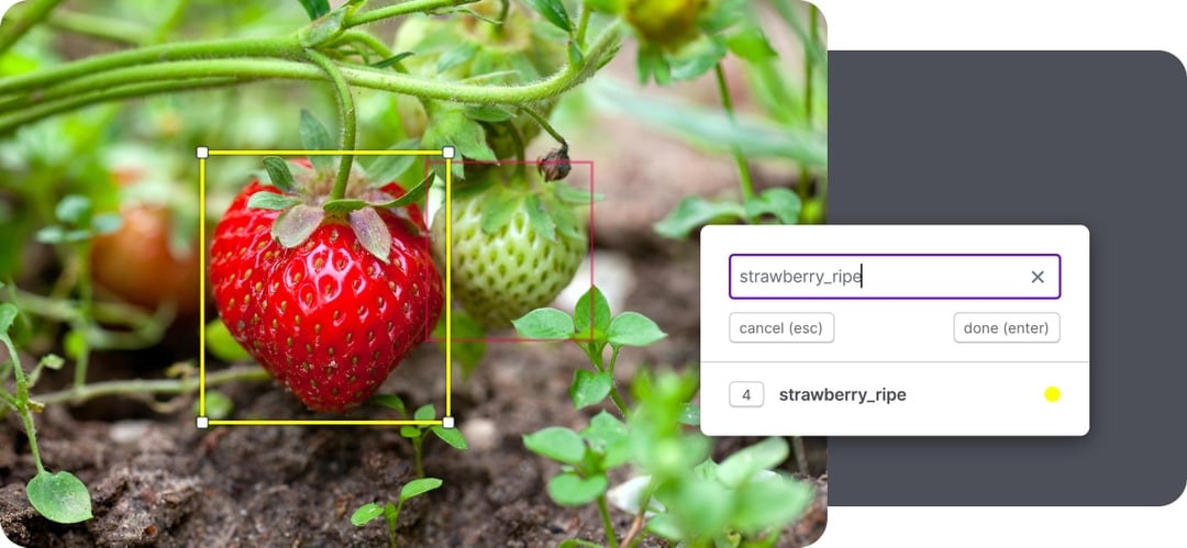 Roboflow: Give your software the power to see objects in images and video