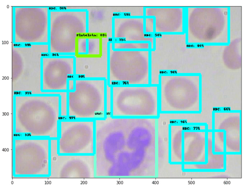 MobileNet SSD v2 Object Detection Model