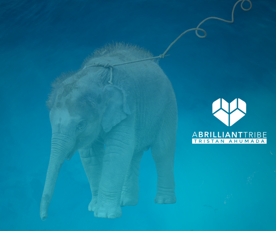 The story of the elephant and the rope