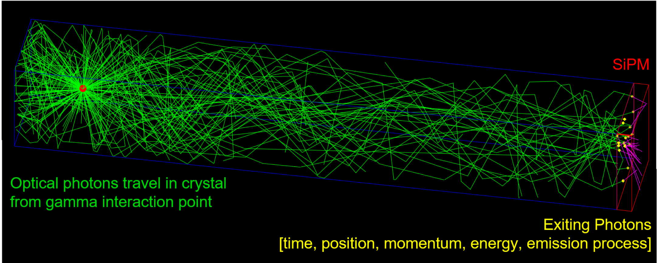 Roncali Lab - Research