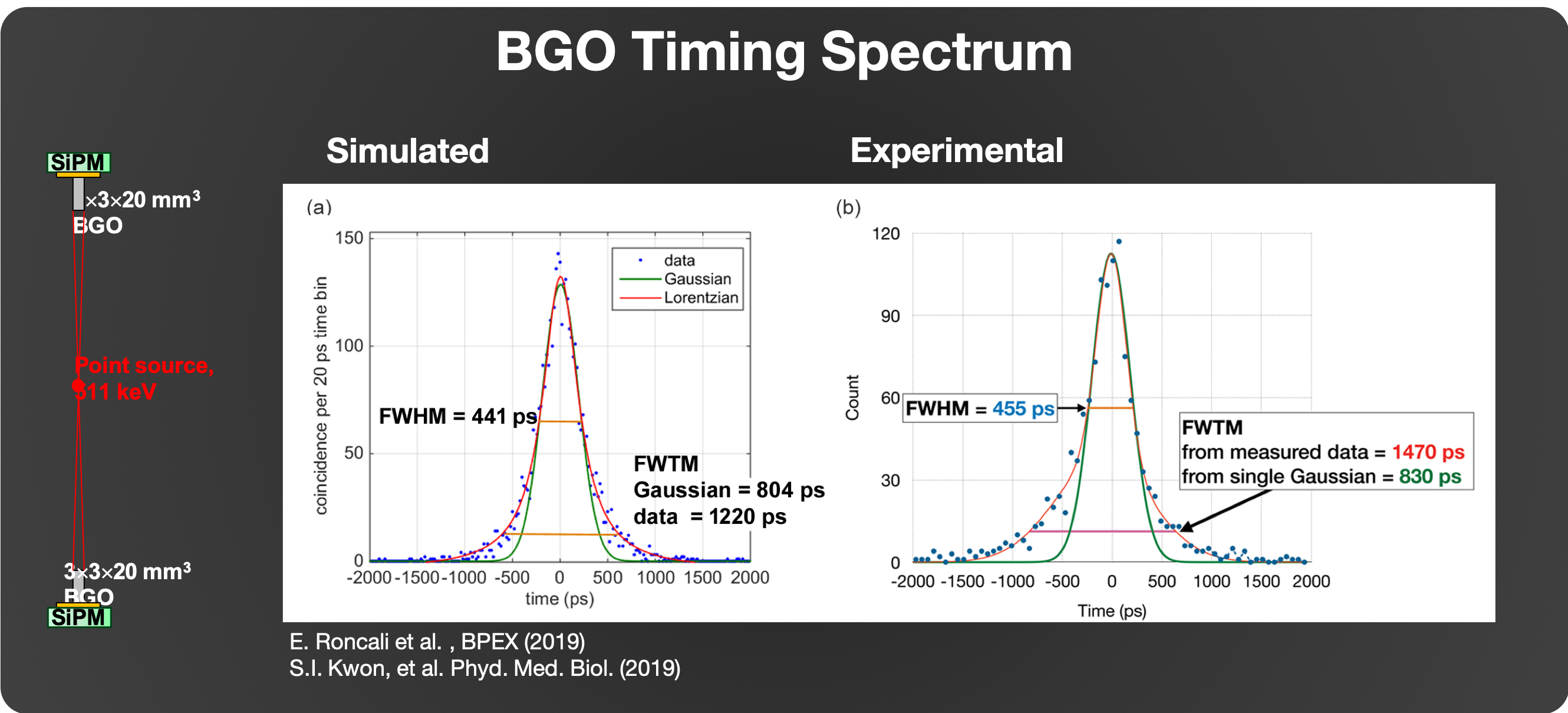 Roncali Lab - Research