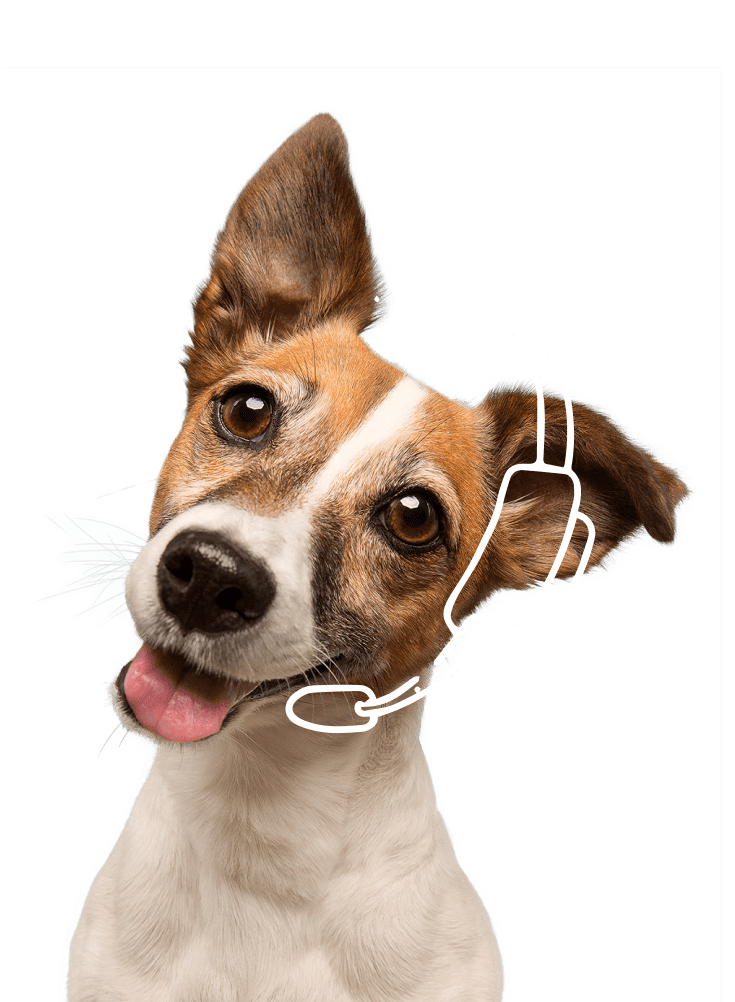 Design and Innovation Studio | NoNameYet