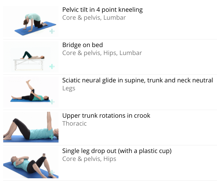 Lumbar Spine Plan (Back Surgery) | ZoomPhysio
