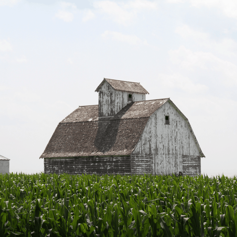 Lafayette Square: Impact Through Capital & Services