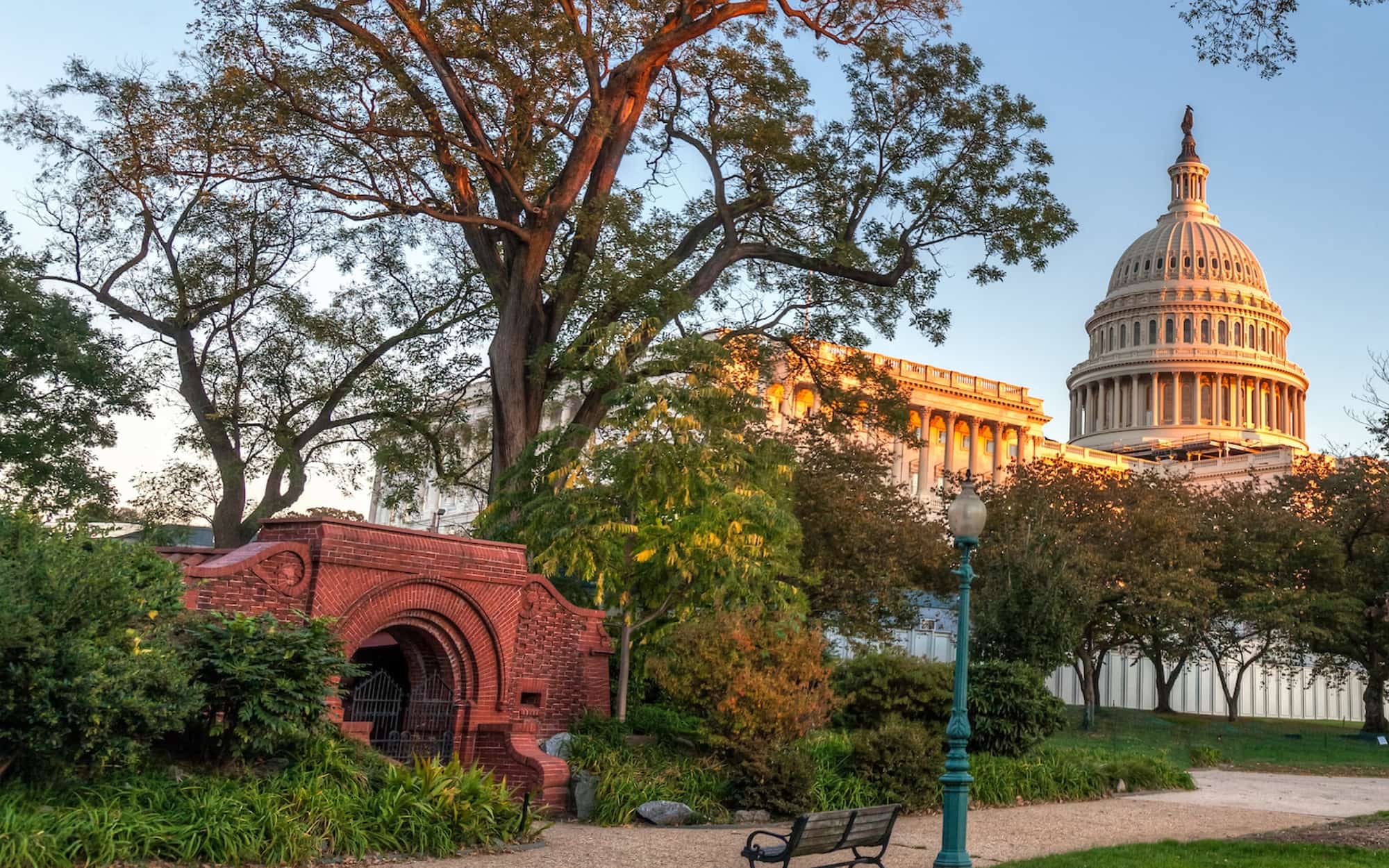 Lafayette Square: Impact Through Capital & Services