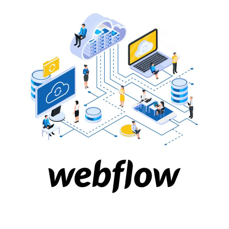 Socialectric | Webflow Development Agency
