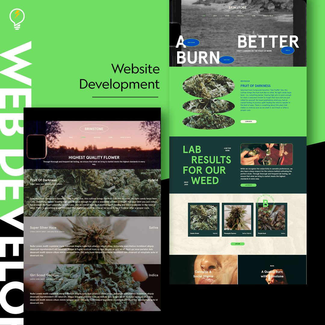 Socialectric | Webflow Development Agency