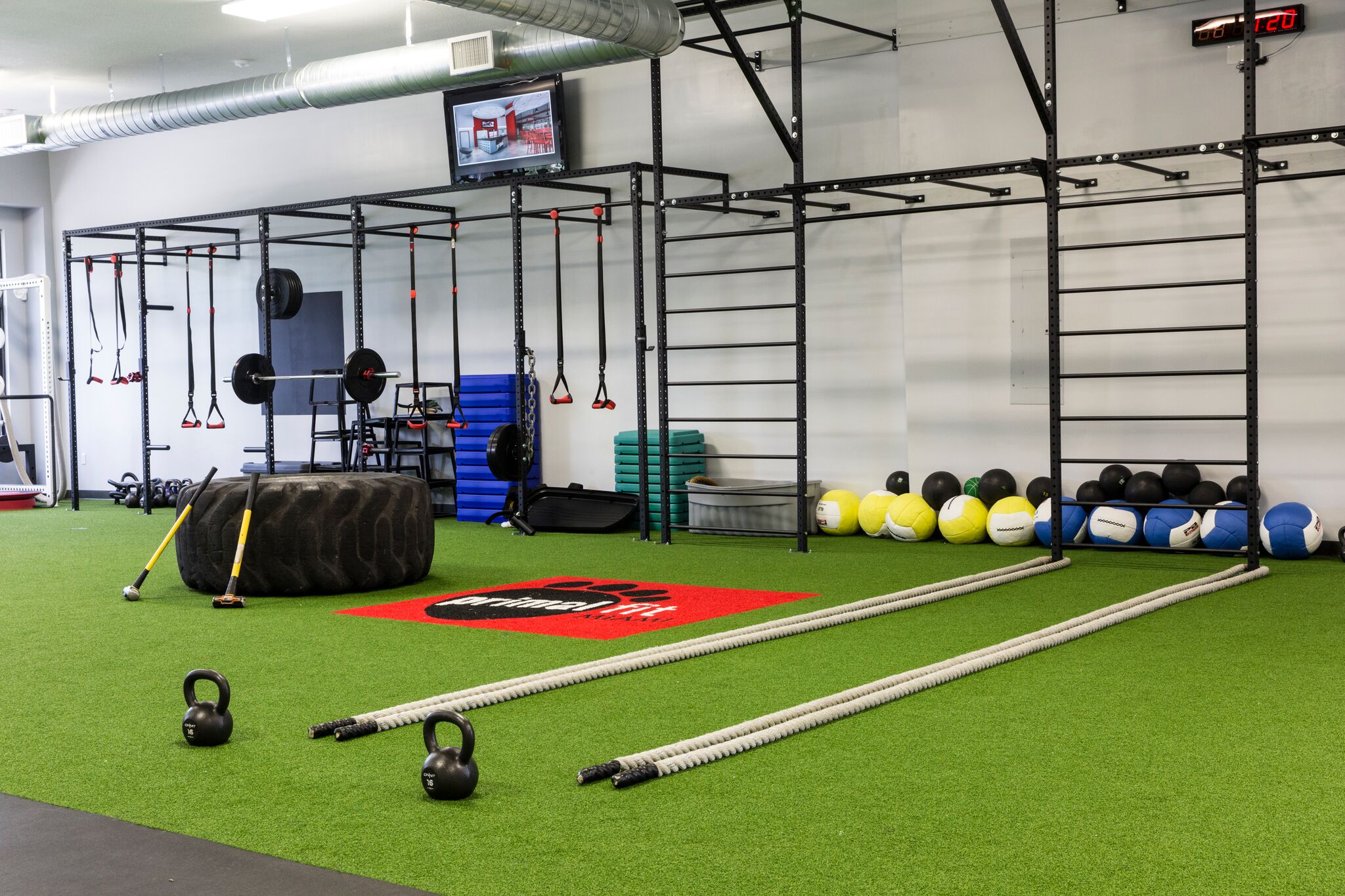 Primal Fit Miami: Personal Training + the Pro Athlete Treatment