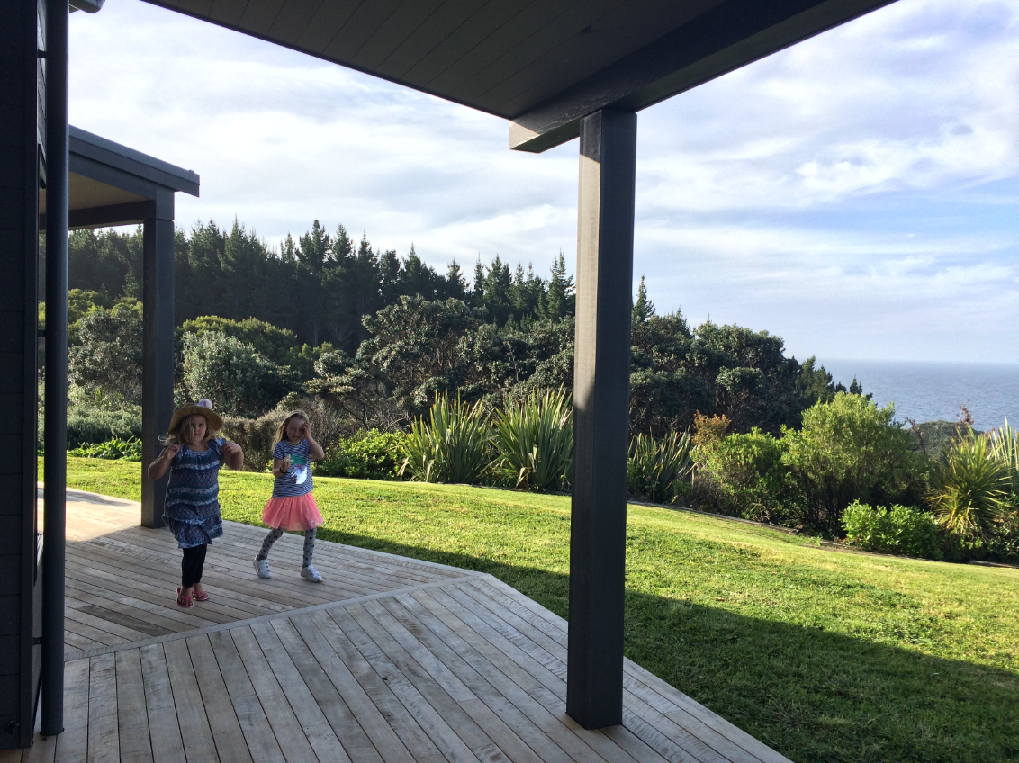 David Collie | Ambience Architecture | Architectural Designer Tauranga