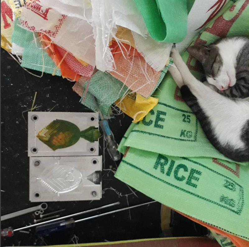 How a Wax Comb Is Born