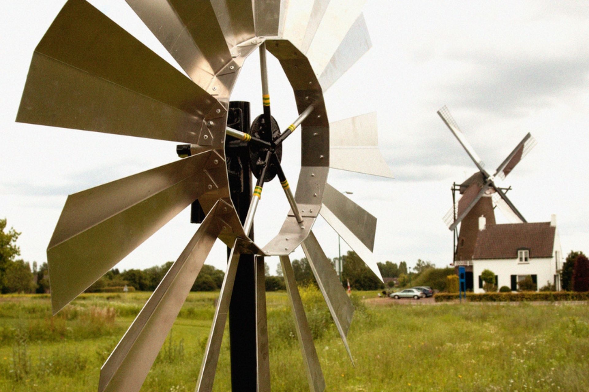 Wind oil