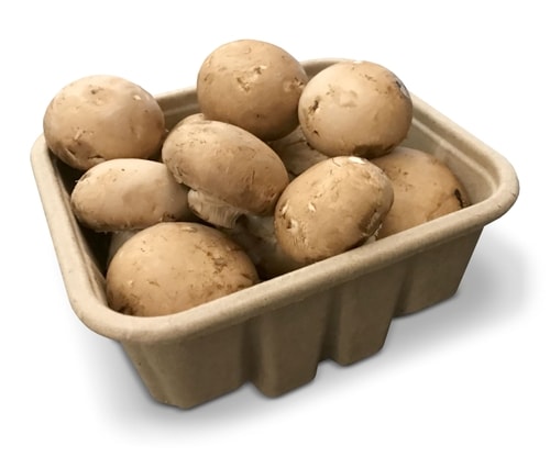Compostable Mushroom Punnet | Products | 3B Solstar