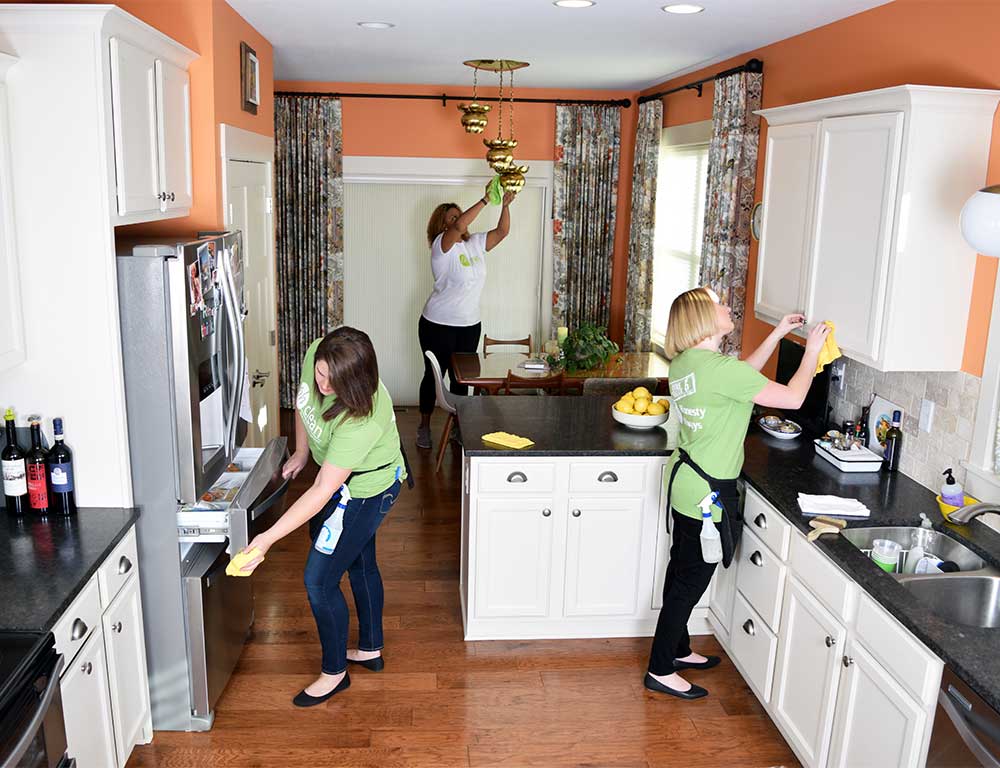 The 5 Best Carpet Cleansers 2023 Evaluation The 26 Finest Points To
