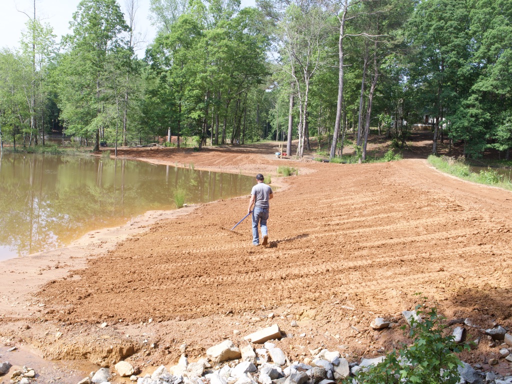 Landscape Drainage Contractor | Drain + Tree