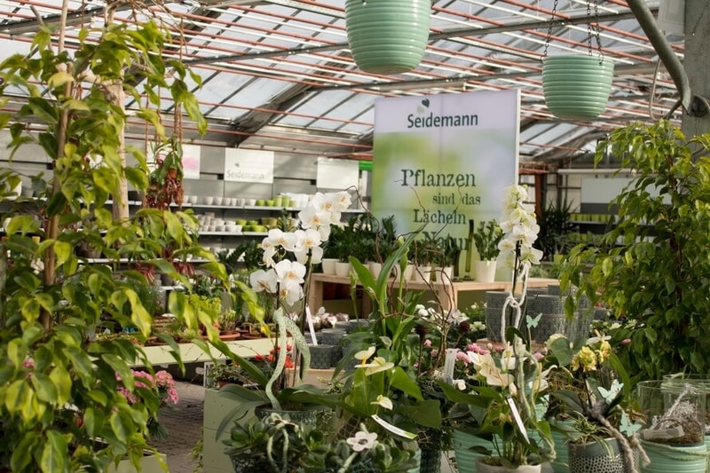 Über Uns | Bio-Blumengärtnerei Seidemann