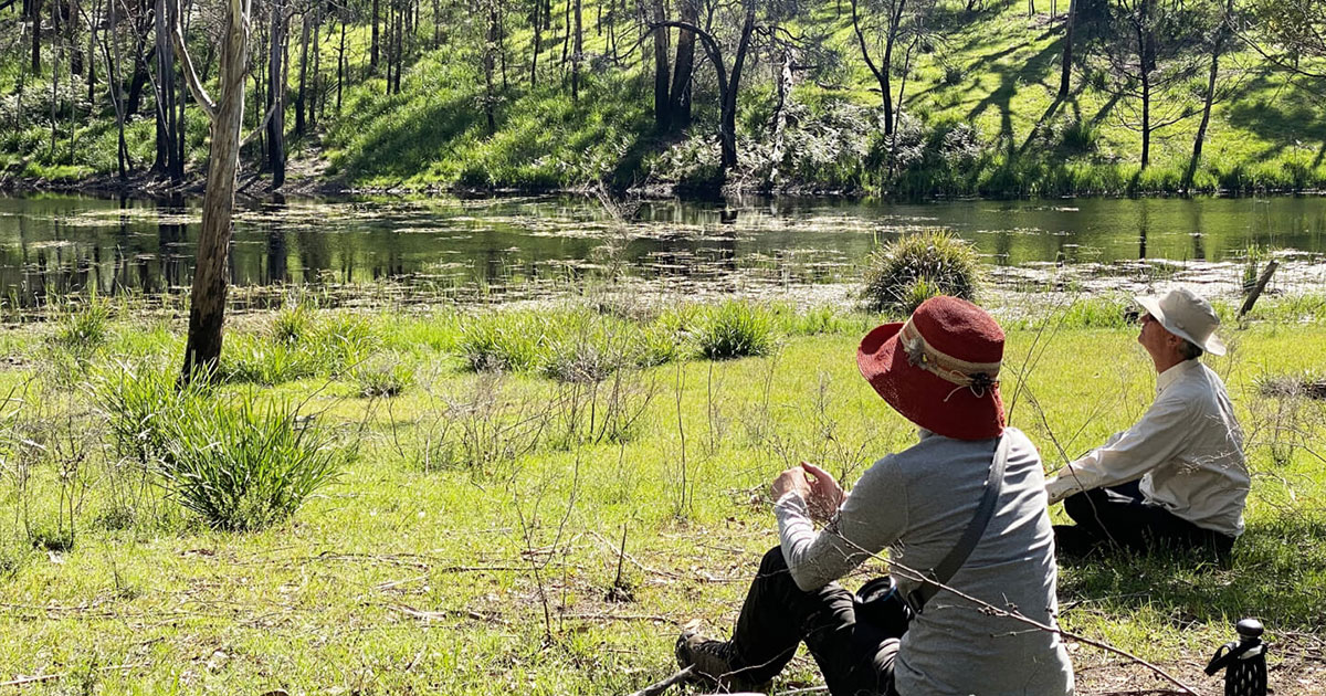 Yambulla Lodge stays