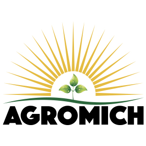 Historia | Club Atletico Morelia