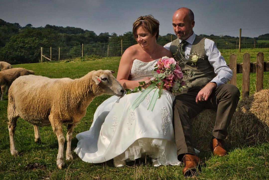 Blackwater Farm Cornwall Wedding Gallery