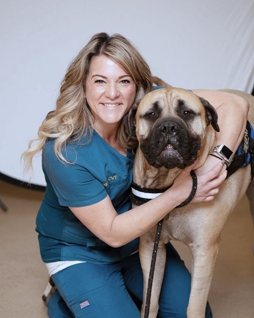 Meet Our Veterinary Oncology Team In Gilbert AZ | Arizona Veterinary ...