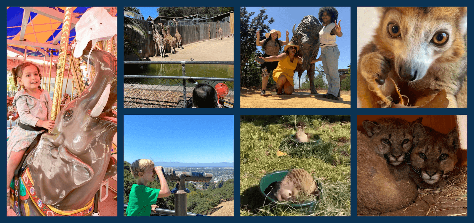 The Hashtag Wall for Your Social Media Campaign — Walls.io