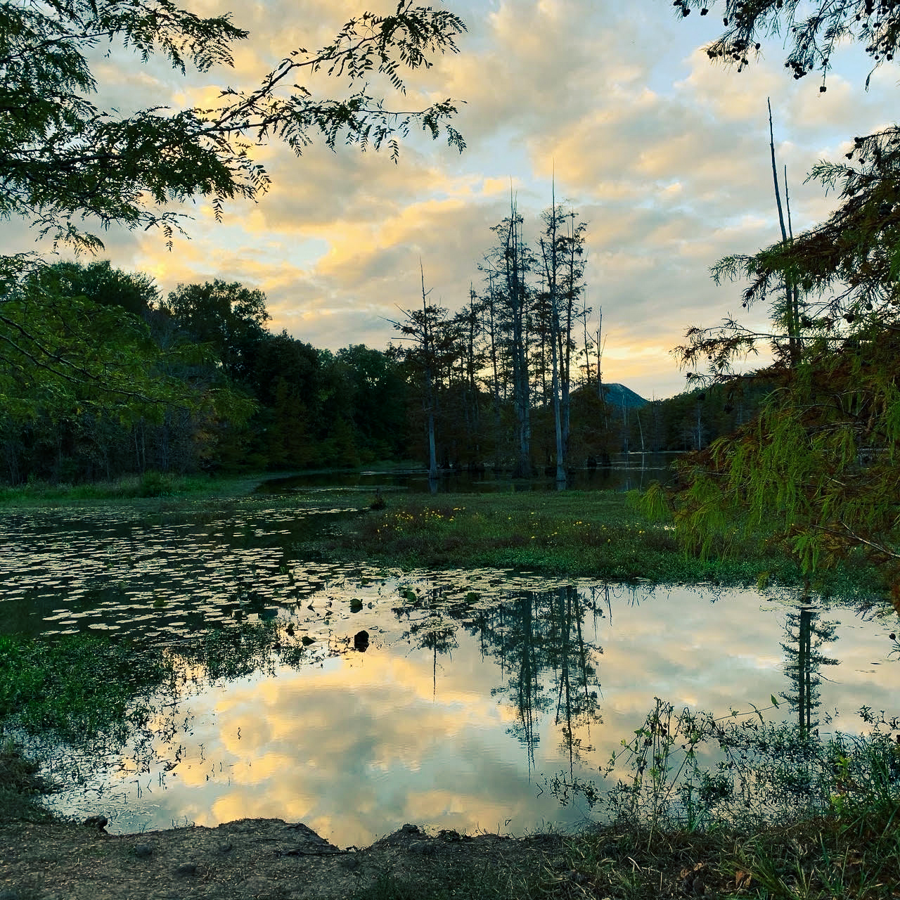 52 Trails: Arkansas Hiking Trail Guides