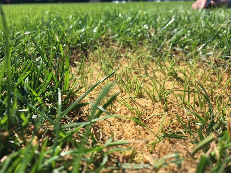 HERO Hybrid Grass | HG Turf